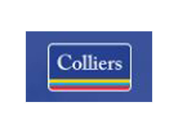 Colliers hires India Research Head and two Senior Industry Leaders to ...