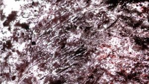 Ancient rock shows there was life on Earth 3.75 billion years ago, much ...