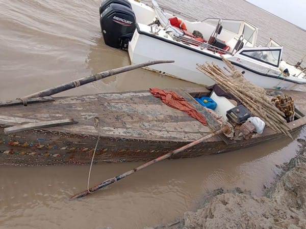 BSF apprehends two Pakistani fishermen, seizes 4 fishing boats from ...