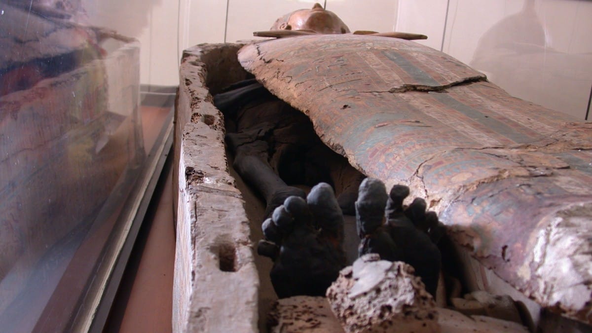 Mummified remains of 16th-century man could help crack history of E ...