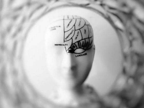 Research reveals changes in brain structure of anorexic people ...