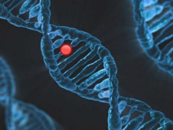 Genetic testing can be beneficial for depression patients, suggests ...