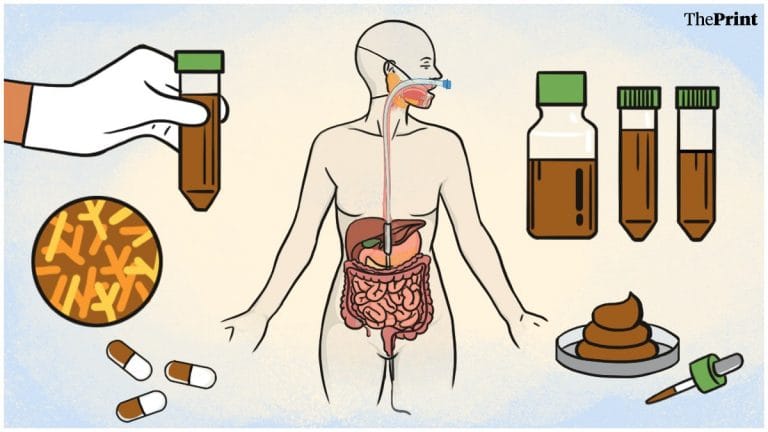 Poop has its uses too. Faecal transplants are the new treatment for ...