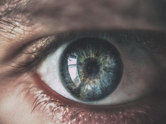 Study suggests bioengineered cornea might restore sight to the blind ...