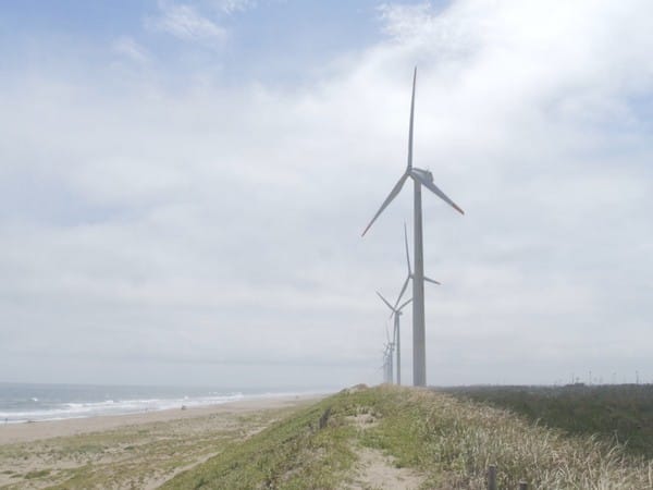Japan's wind power sector shines – ThePrint – ANIFeed