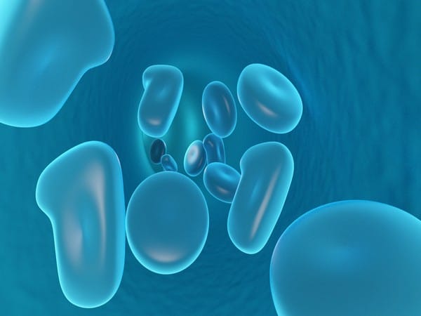 Newly-discovered process brings immune cells up to speed – ThePrint ...