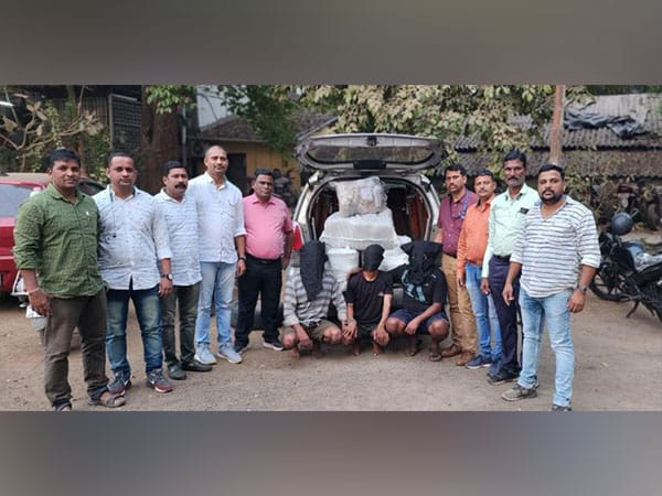 Maharashtra: Anti-Narcotics cell seizes 90kg marijuana, three held ...