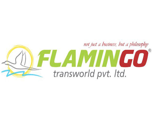 Flamingo Transworld takes user experience to new heights with a website ...