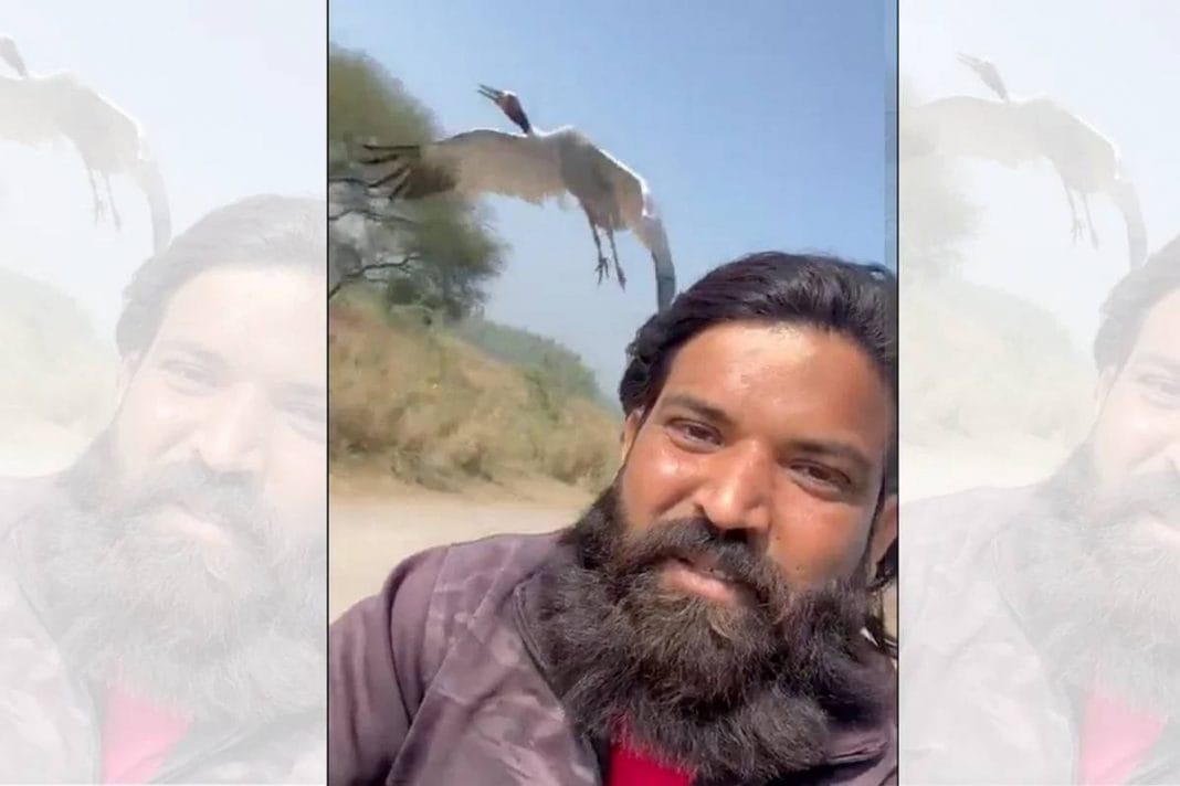 Why was a sarus bonding with UP farmer? Media glorified friendship that ...