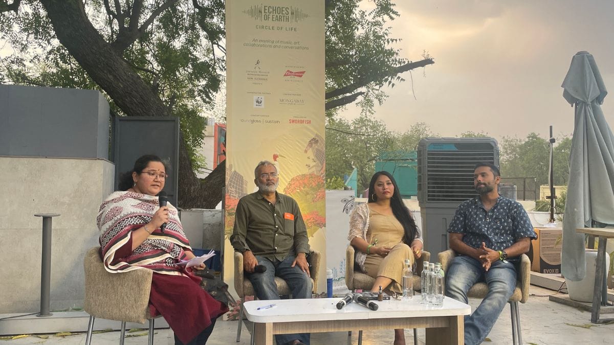 Jackals, migratory birds from Europe, Tesu flowers — Delhi is a ...