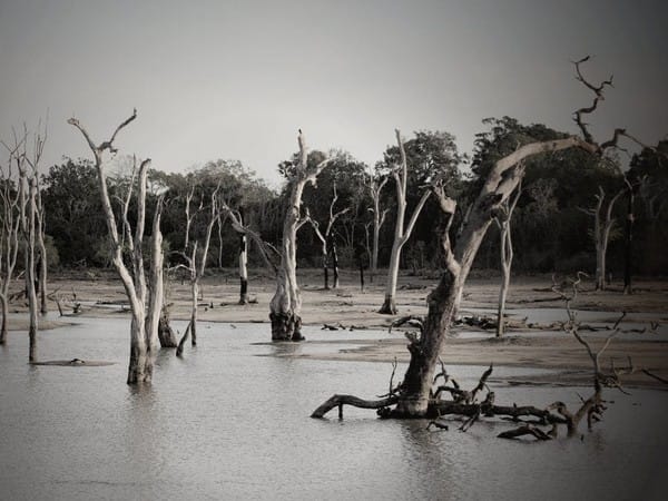 New super-fast flood model has potential to save lives: Study ...