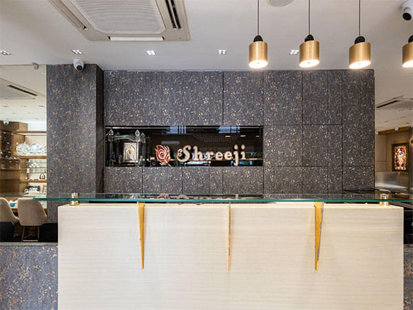 Shreeji Family Jewellers Unveils Timeless Connections and Exquisite ...