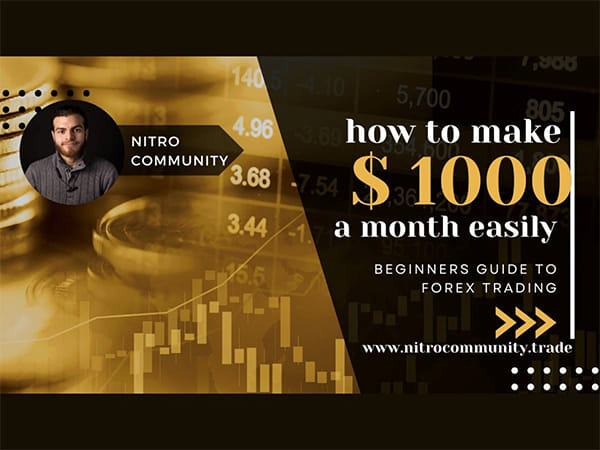 Unlocking the Power of Stock and Forex Trading with Nitro Community ...