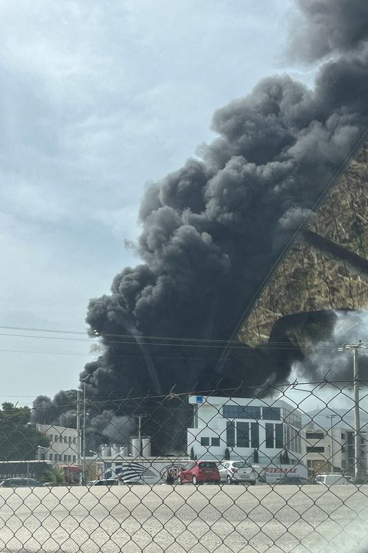 Firefighters battle big blaze at Athens factory – ThePrint – ReutersFeed