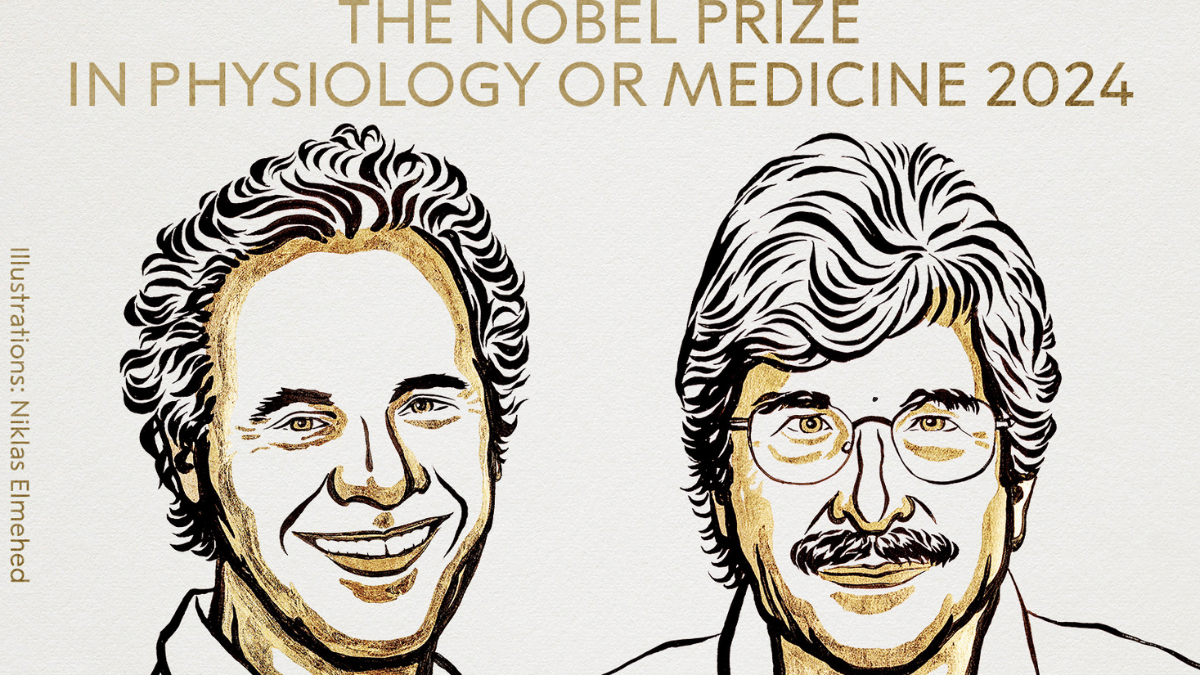 US biologists win Nobel in Medicine for microRNA discovery. Here's how ...