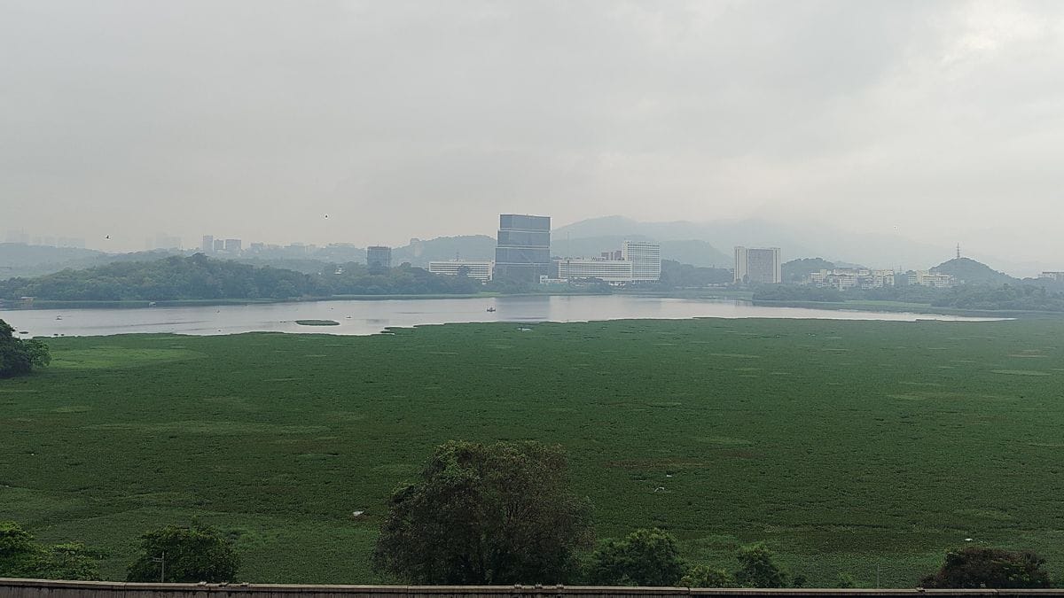 Big win for citizens' campaign as BMC set to finally clean up Powai ...