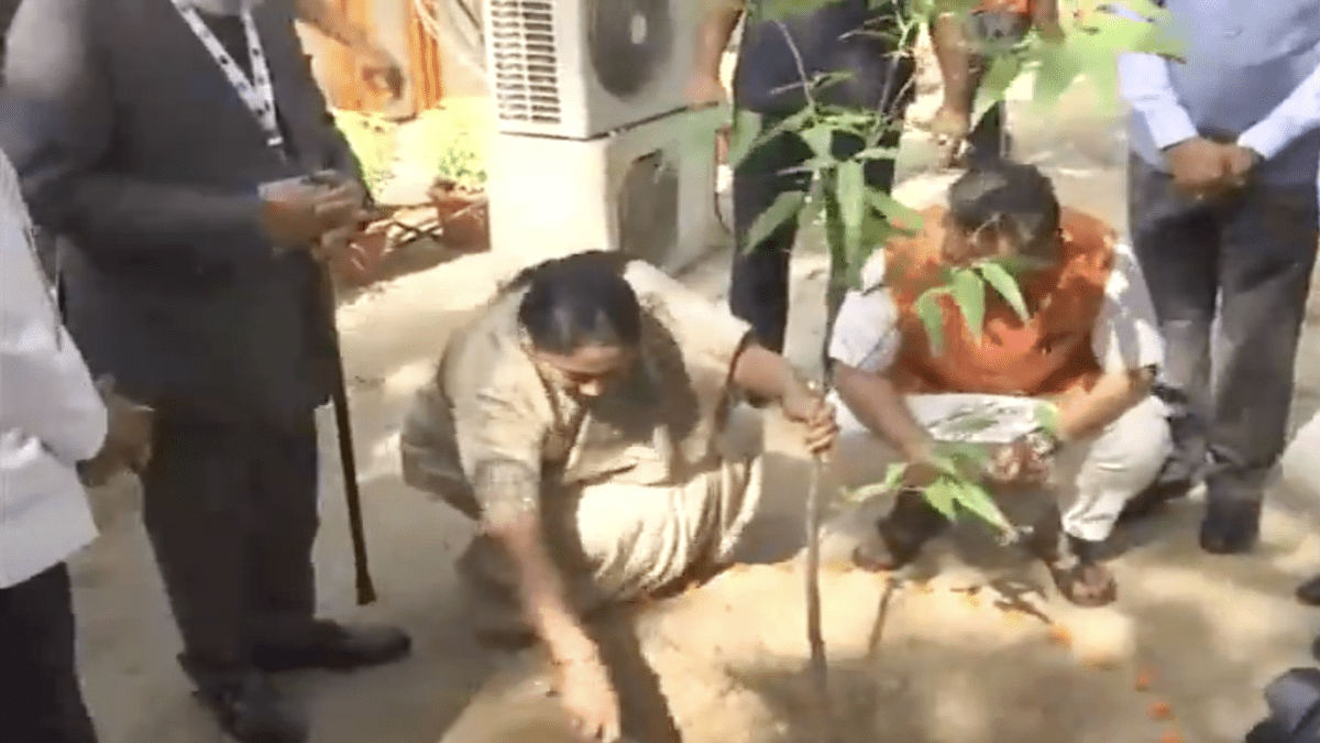 Delhi CM Rekha Gupta plants 'sindoor' trees after Op Sindoor, sets ...