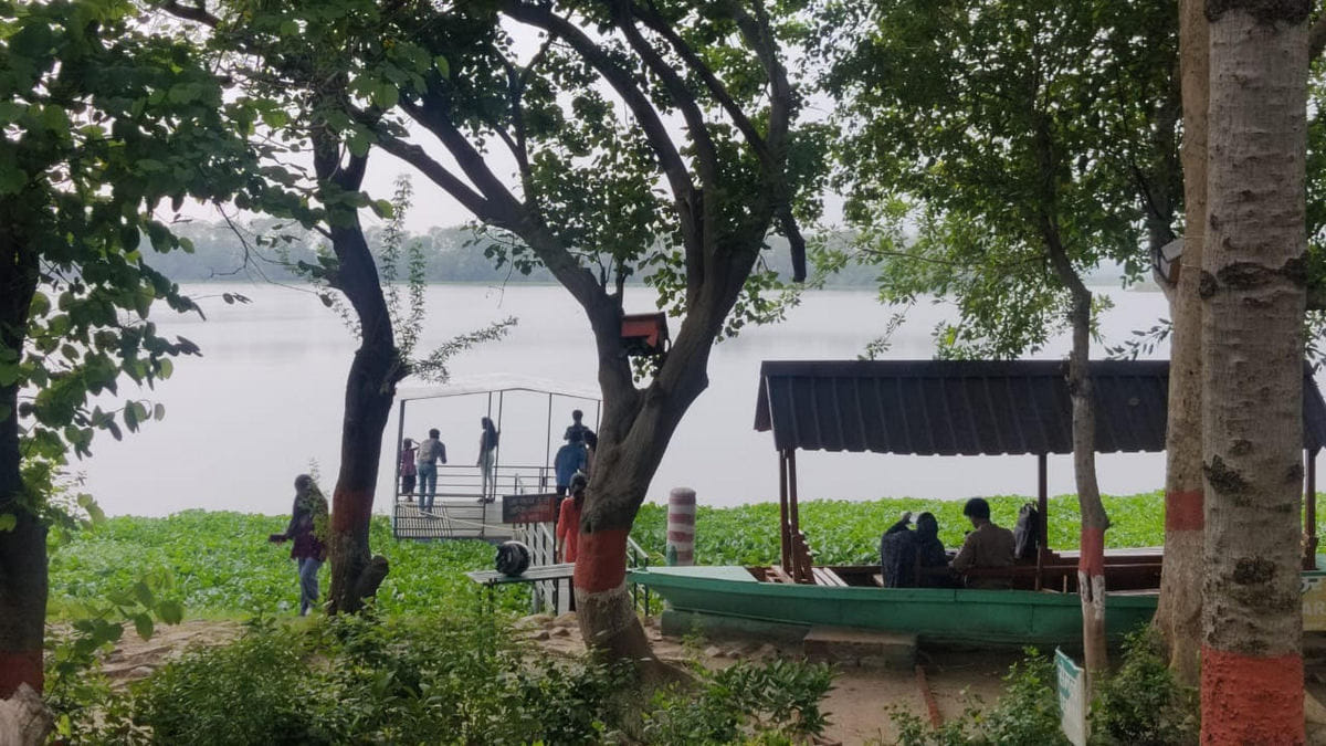 Noida’s Okhla Bird Sanctuary is dying. ‘More a place for lovebirds'