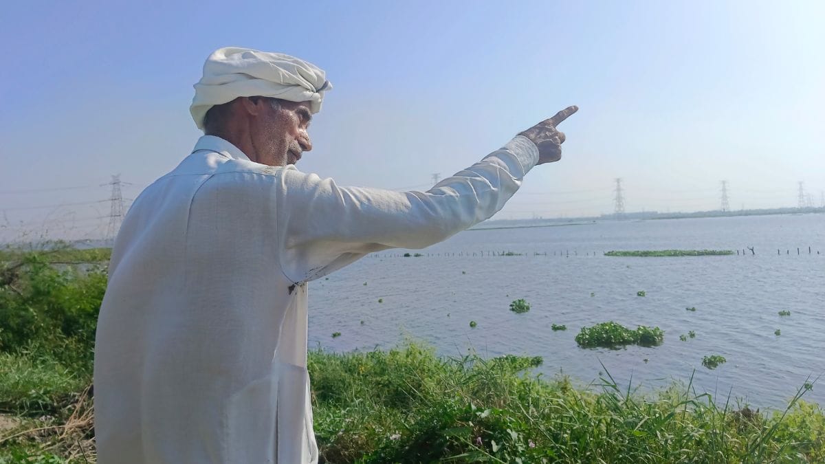 Najafgarh Jheel’s wetland tag stuck for 11 years as Delhi, Haryana spar ...