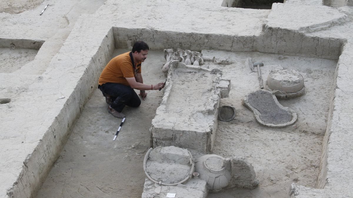 We celebrate Harappa—and dismiss Sinauli excavation as politics