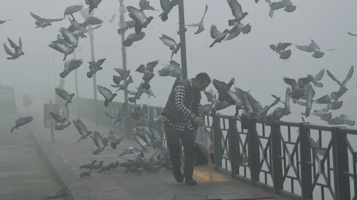 Kashmir tourist's smog-fog confusion is natural. We've forgotten what ...