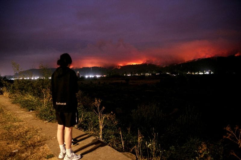 Chile wildfires leave 19 dead amid extreme heat as scores evacuated ...