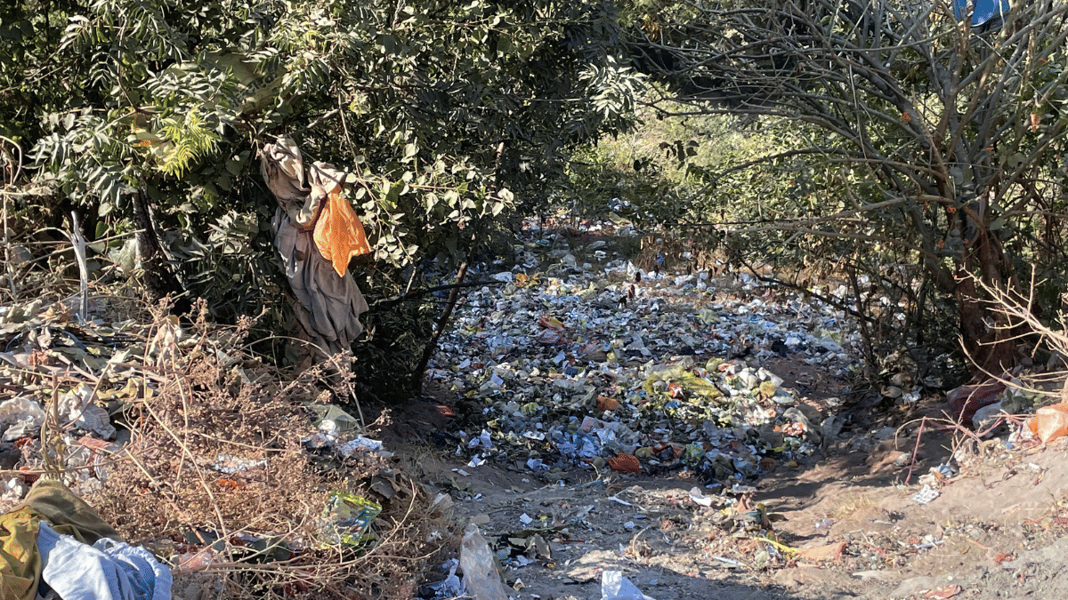 Dustbins inside Himachal's vehicles — a year of Rs 10,000 fine