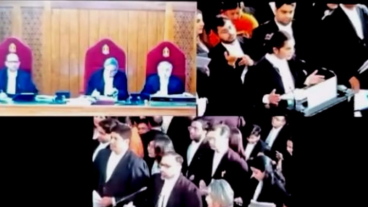 Lawyer who fights for orphans' rights enters SC fray for stray dogs