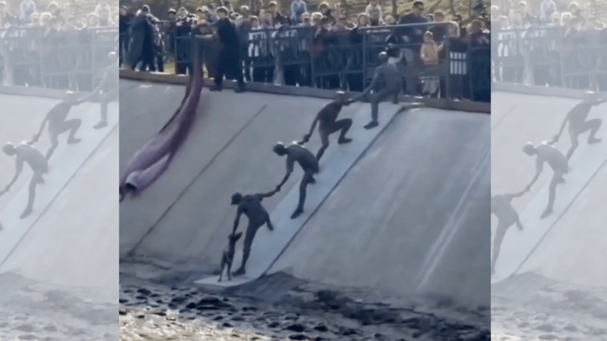Almaty dog rescue episode now has a statue