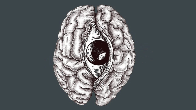 The 'third eye' exists. It's hidden in the brain, say Sussex scientists