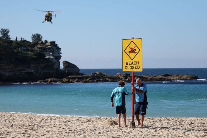 Shark attack pushes Australian state to review drone curbs – ThePrint ...