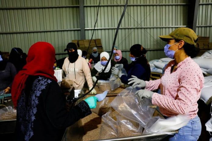 Syria has made no progress on Sweida reintegration plan, UN says ...