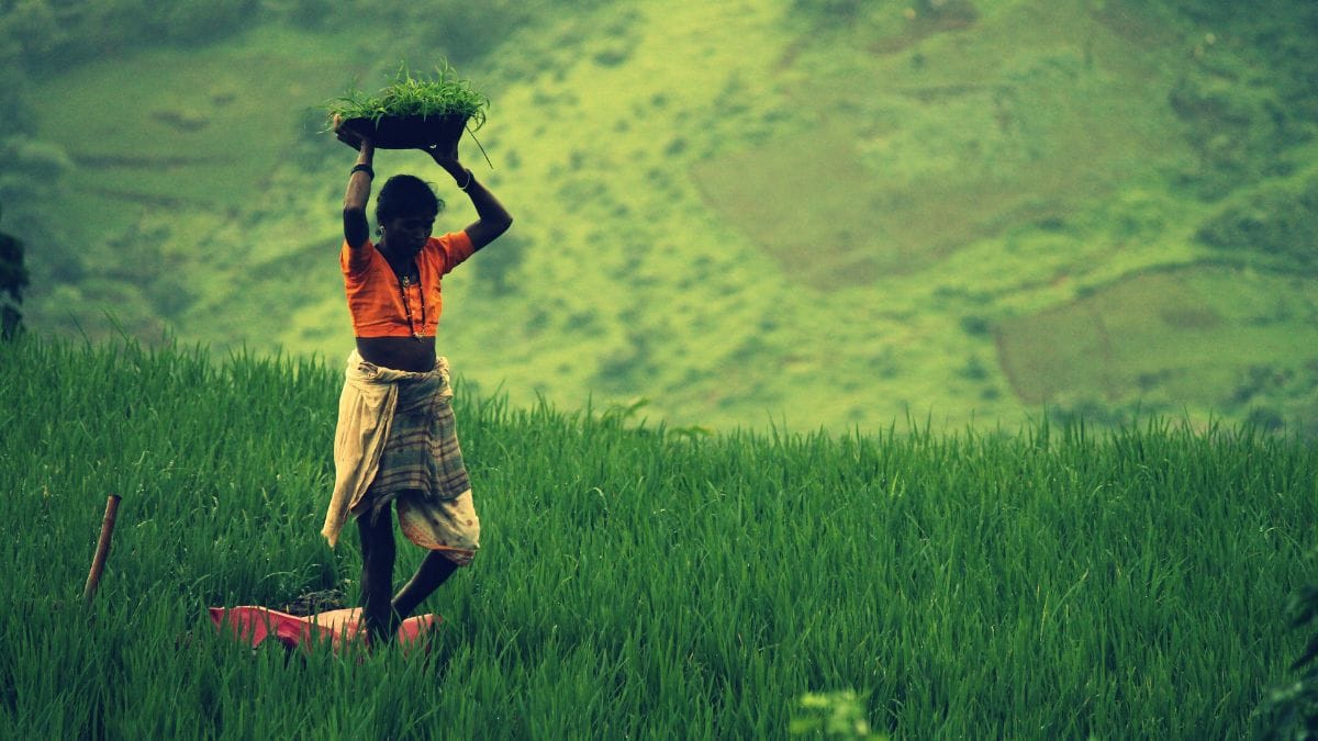 India's water future is being built on myths about its medieval past
